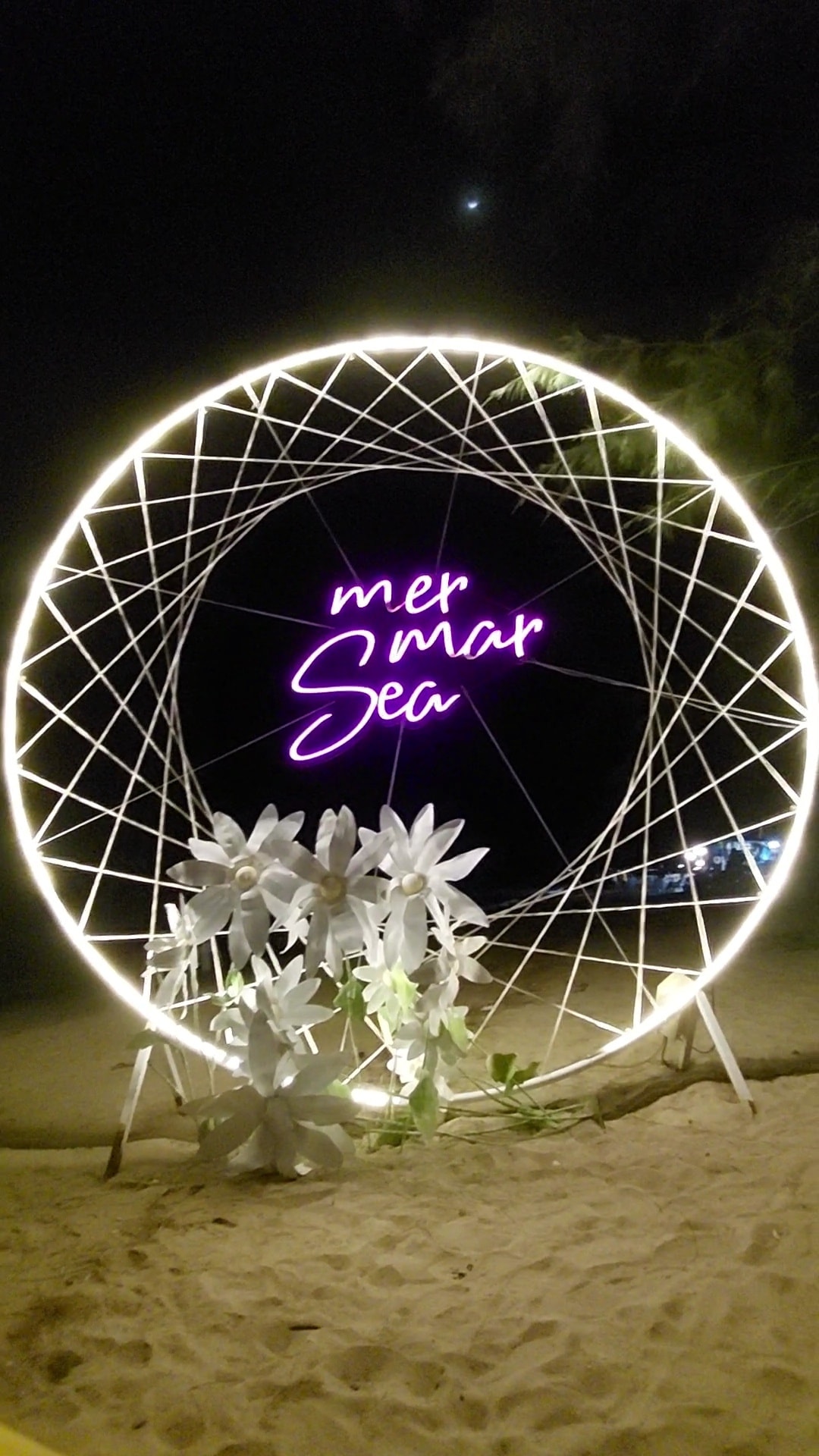 Mer Mar Sea 𝙊𝙣 𝙏𝙝𝙚 𝘽𝙚𝙖𝙘𝙝 • หากินตระเวนกินตามอยาก